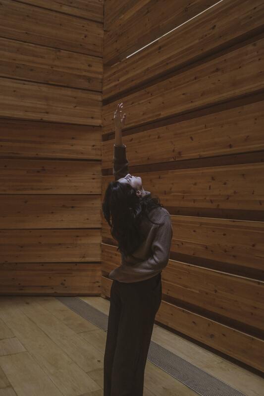 WALLS - Papillon Center